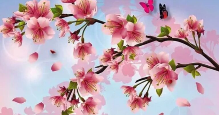 10 Amazing Flowers that Represent Change and Renewal