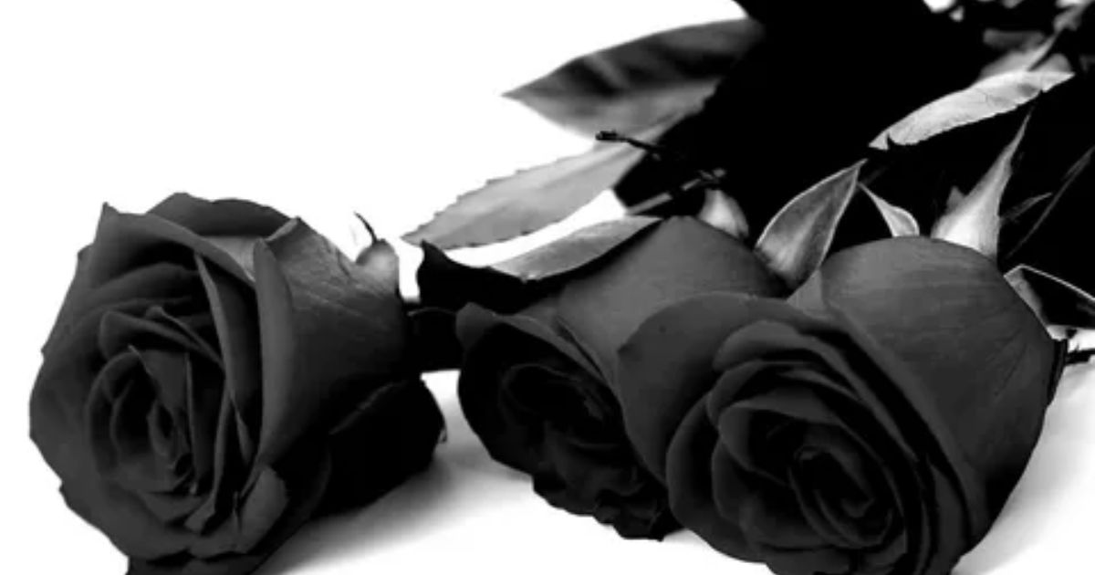 10+ Hauntingly Beautiful Flowers that Represent Loneliness