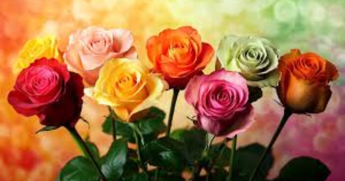 What are the 5 Most Common Flowers in 2025?